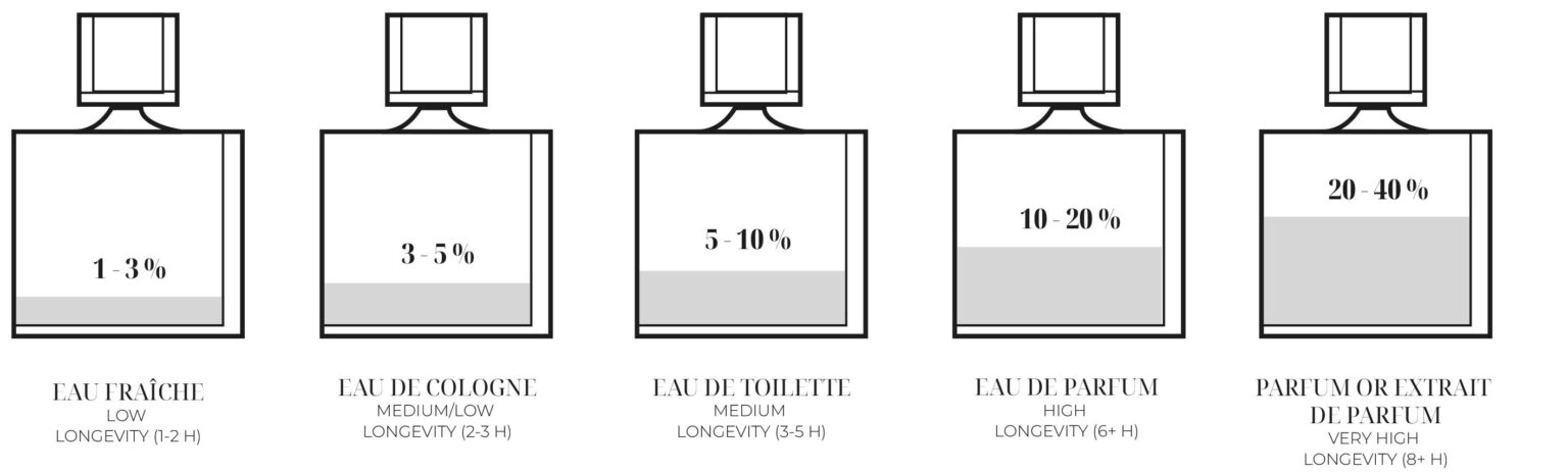 Perfume 101: Your Beginner's Guide to Perfume Concentrations