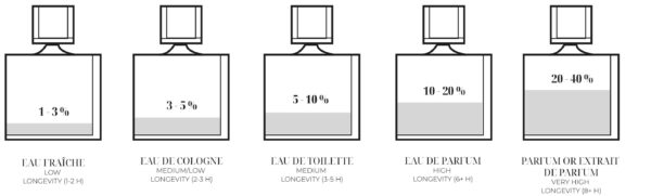 Perfume 101: Your Beginner's Guide to Perfume Concentrations