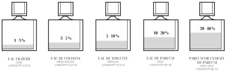 Perfume 101: Your Beginner's Guide to Perfume Concentrations