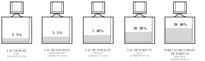 Perfume 101: Your Beginner's Guide to Perfume Concentrations